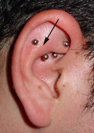 Piercing Types - Haven Body Arts